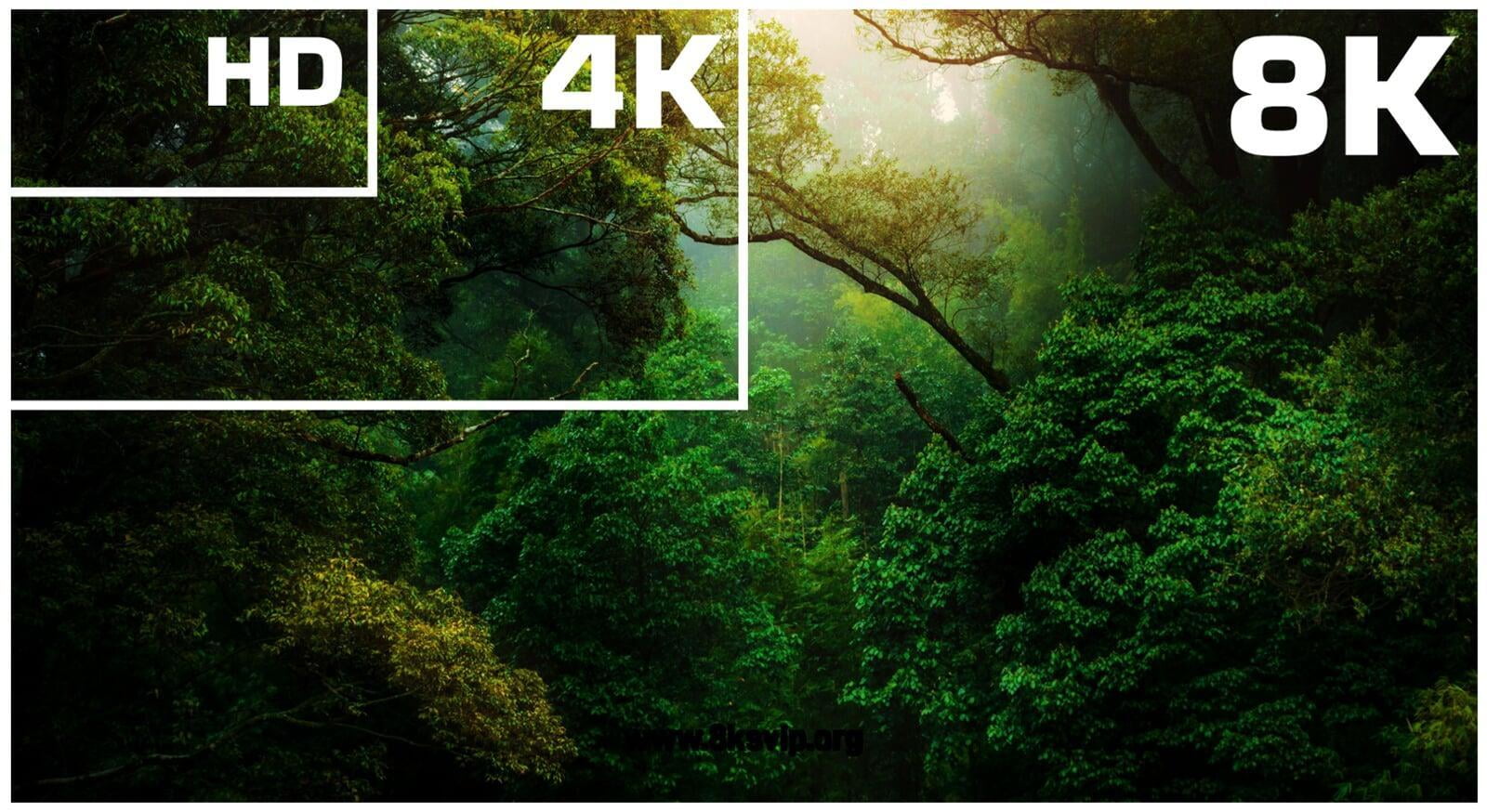 JPEG XS ... What Does It Mean ? | intoPIX